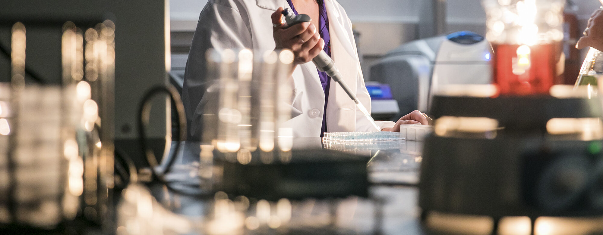 Faculty & Staff - Biotechnology